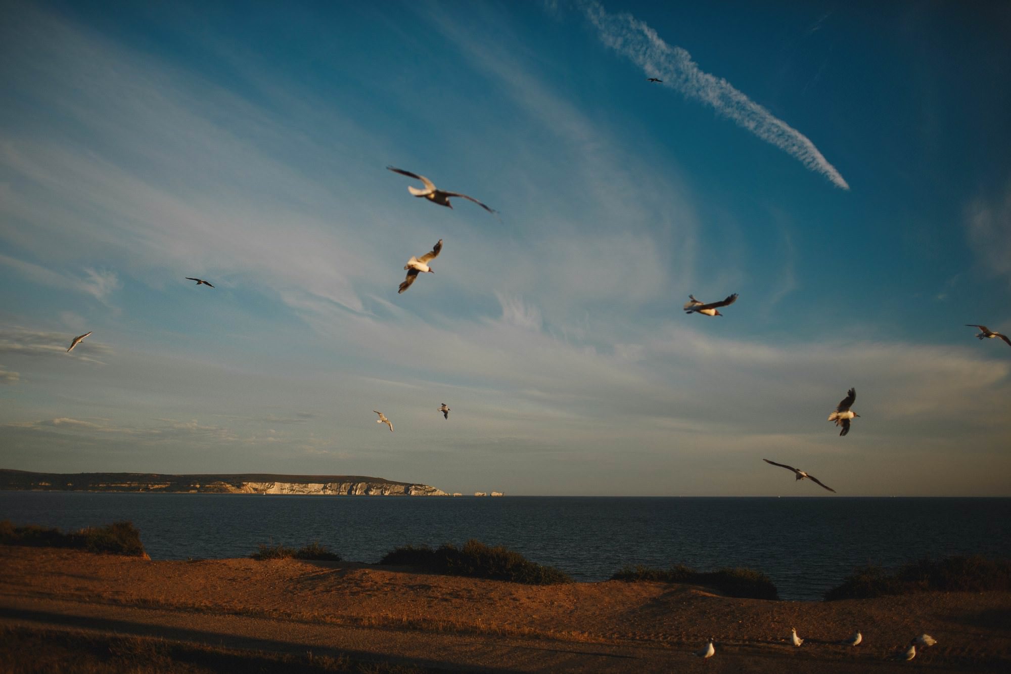 Highcliffe Castle Wedding Photographer Dorset | ARJ Photography